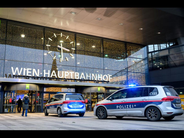 Mutter und Sohn bei Messerattacke am Wiener Hauptbahnhof verletzt