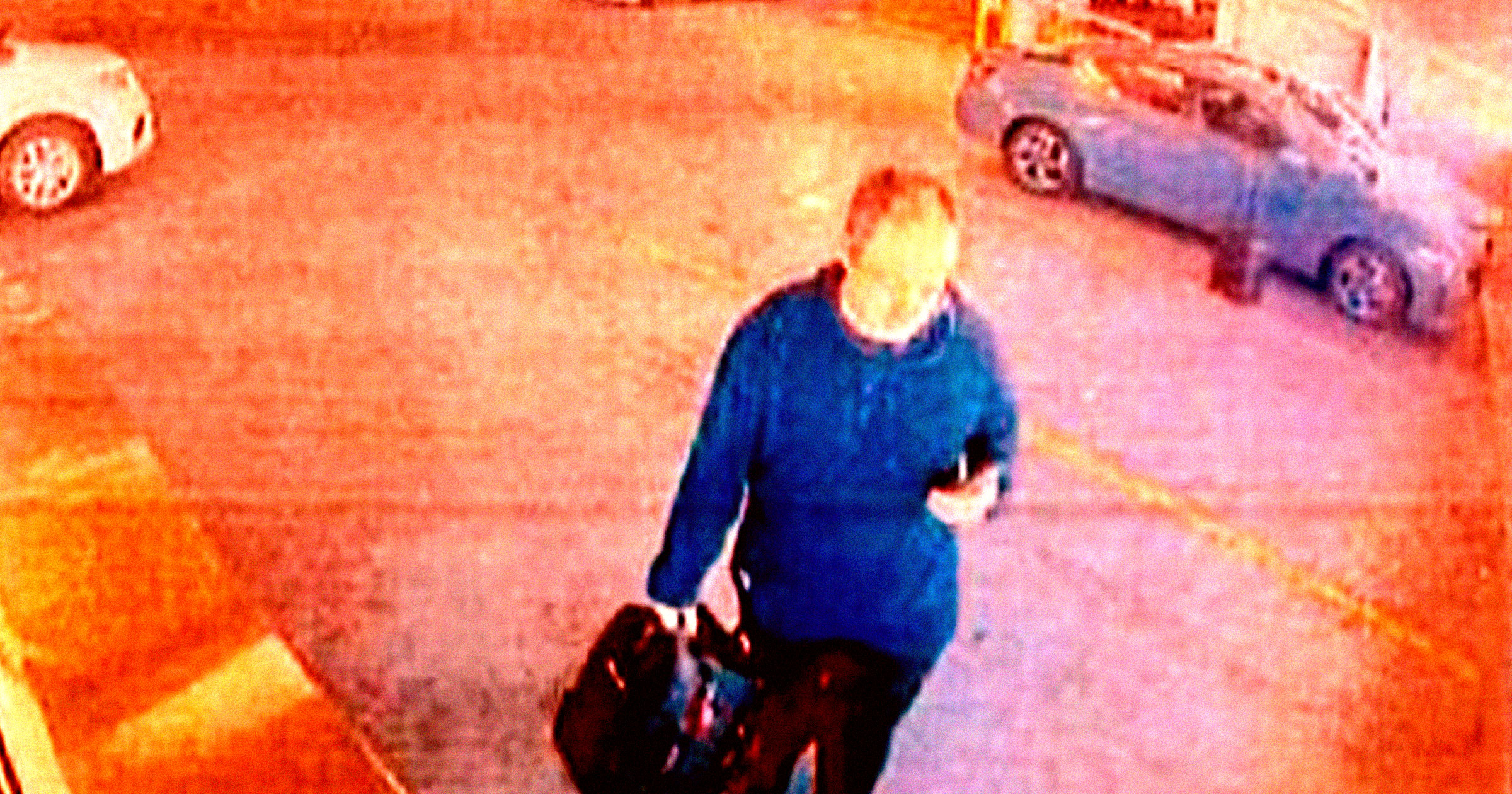 Murder of MIT fusion scientist getting more and more bizarre