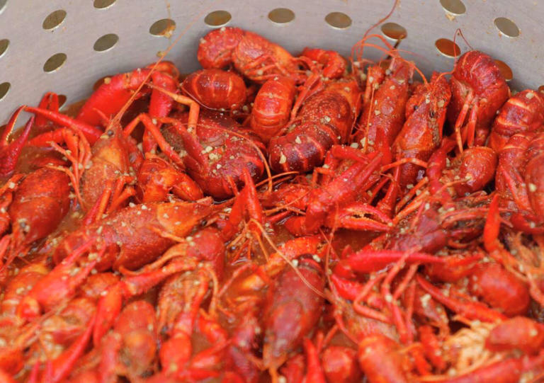 Crawfish is returning to Houston restaurants. What kind of season do ...