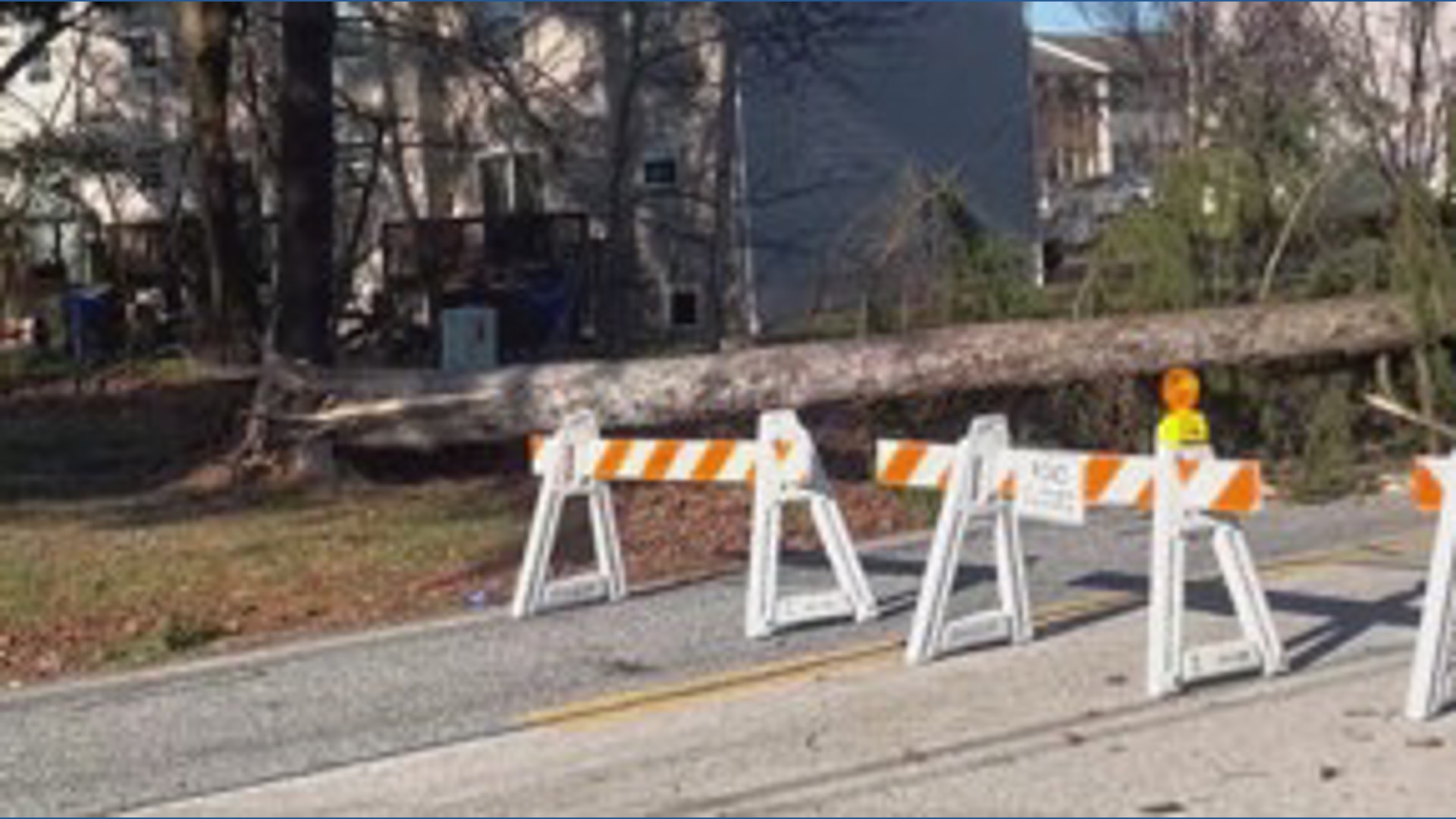 Knocked down tree causes road closure