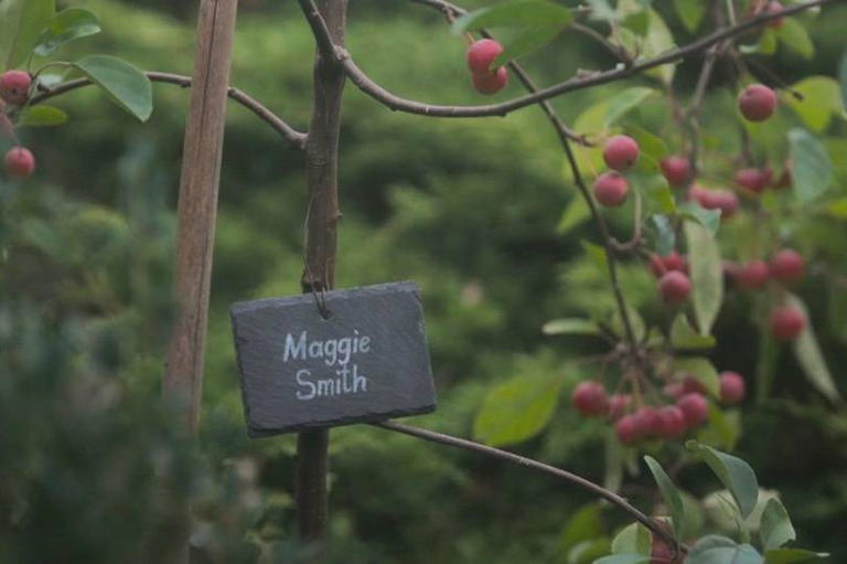 Judi Dench reveals heartbreaking tribute to late friend Maggie Smith