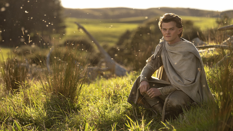 How long do elves live in The Lord of the Rings series?
