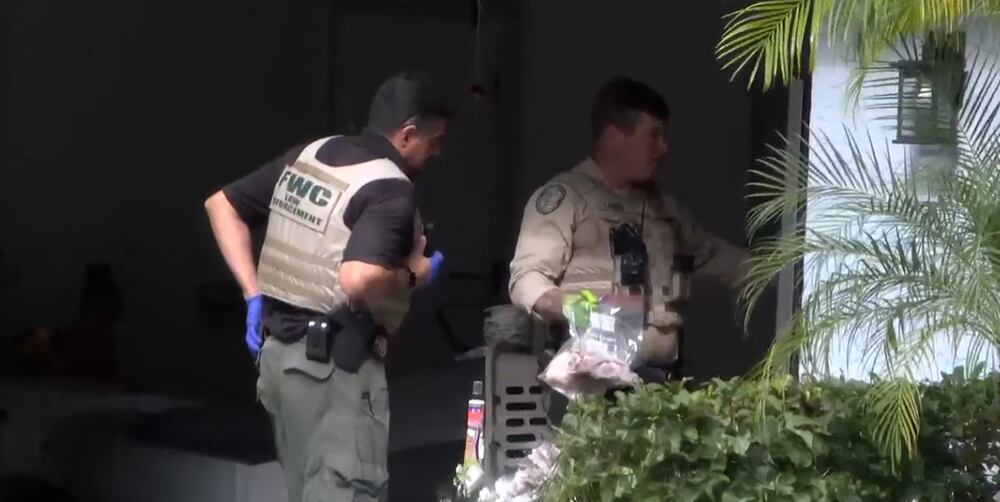 Videos show alleged Sarasota poachers shooting, carving up gators ...
