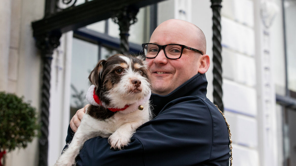 'Breed and greed culture' making Ireland the puppy farm capital of ...