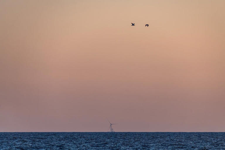 Mass. Gov. Healey condemns Trump administration’s stop‑work order on ...