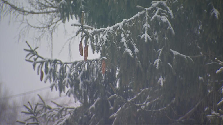 Wintry mix moves in overnight, continues intermittently on Tuesday