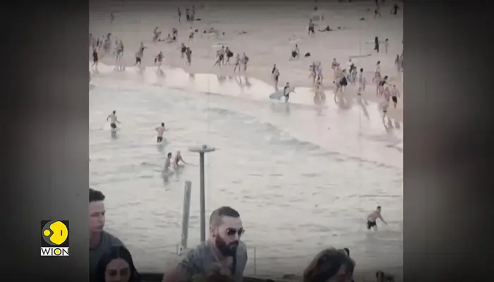 Bondi Beach probe: Cops say attack was meticulously planned