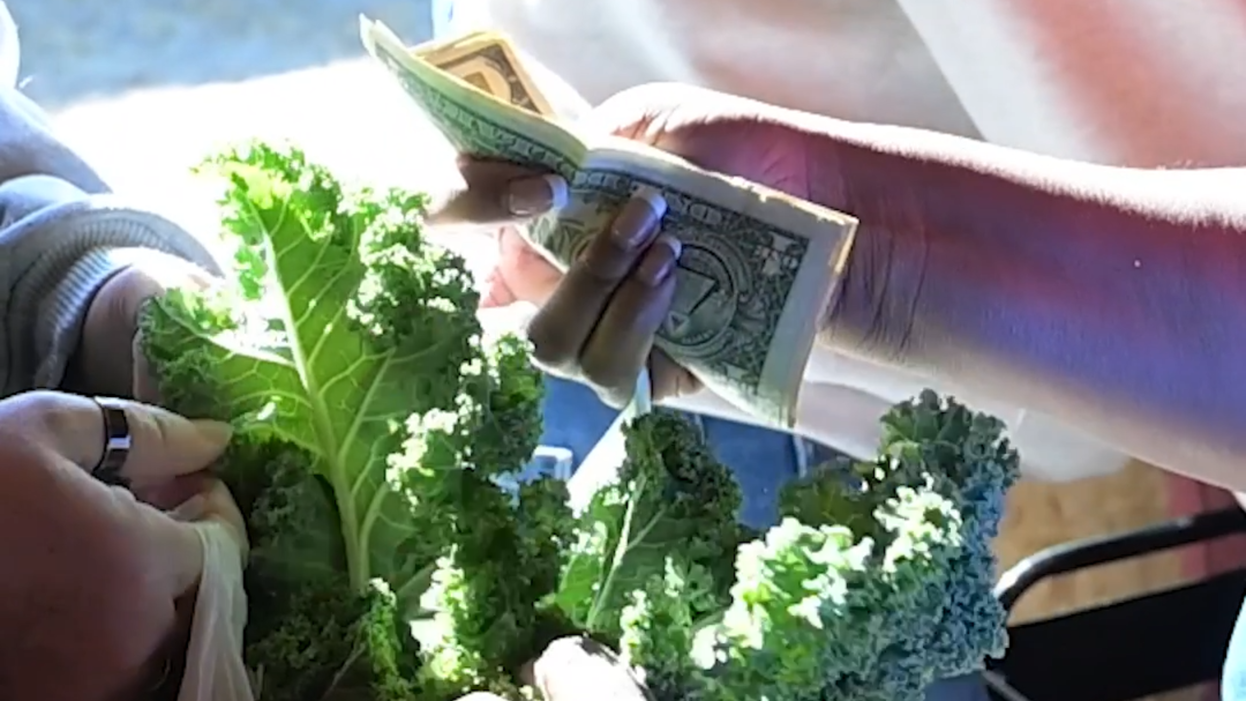 See inside new fresh produce dollar store in Fort Valley