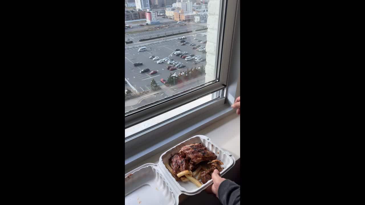 Seagull snatches full rack of ribs from hotel plate—TikTok clip hits ...