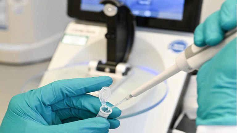 Synthetic metabolism offers new way to convert CO2 into usable ...