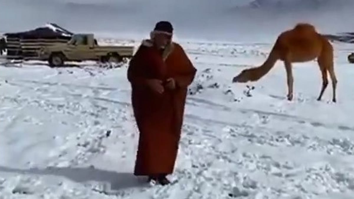It’s snowing in Saudi Arabia. What caused the 1st snowfall in 30 years ...
