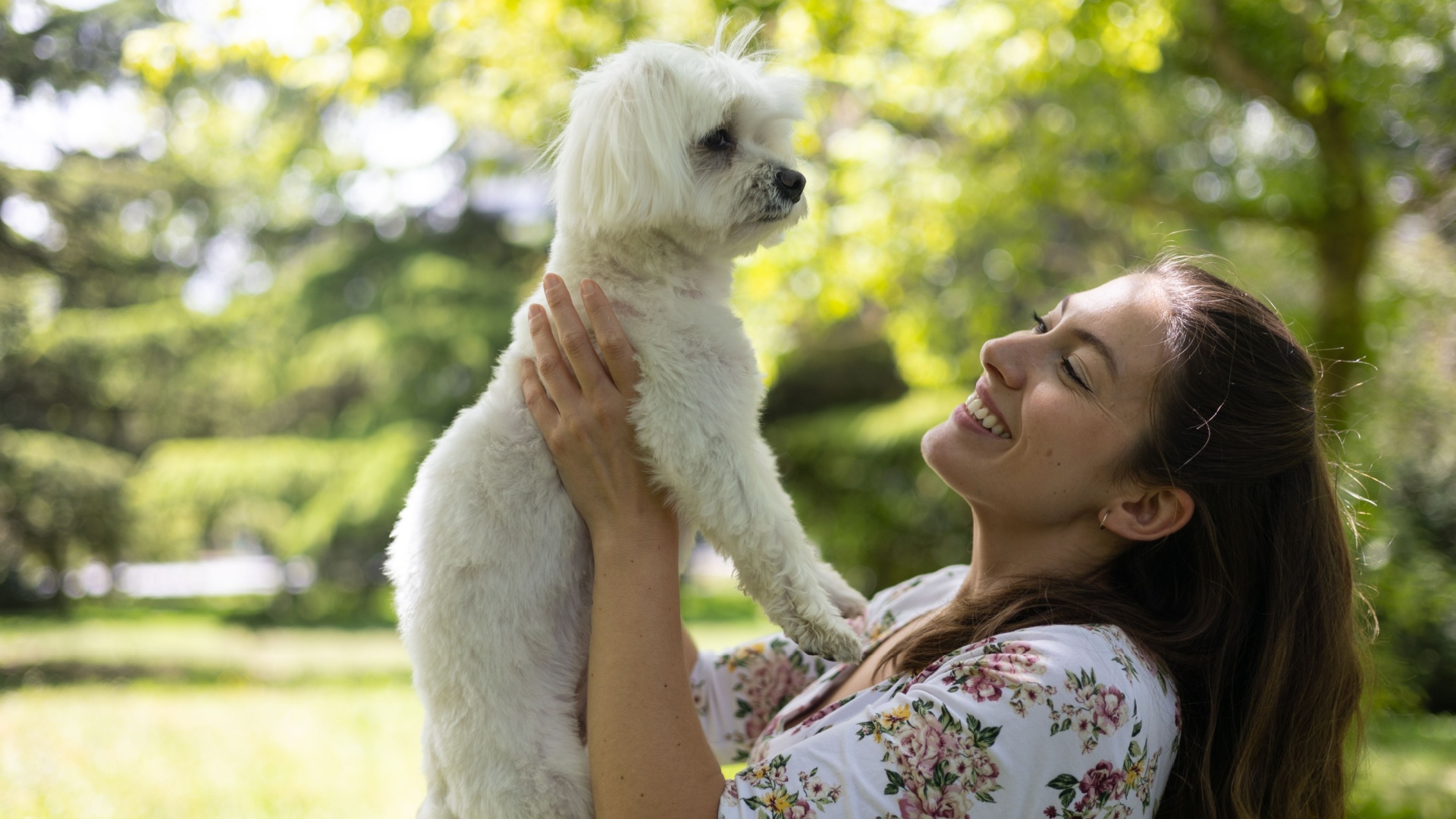 9 dog breeds that fit perfectly into women’s lifestyles
