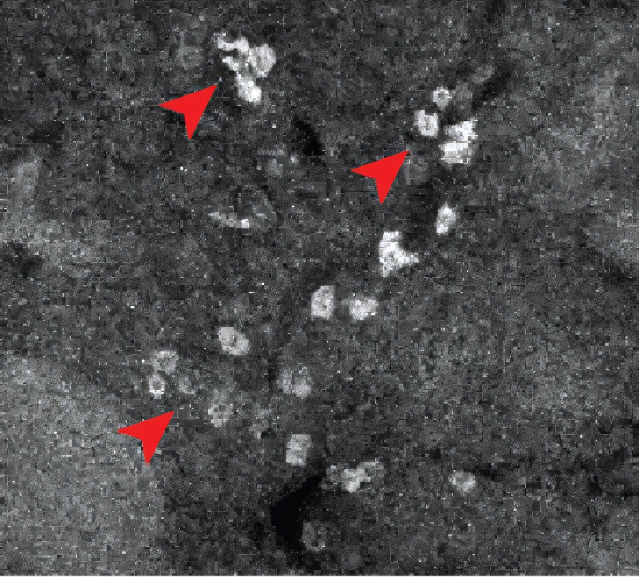 New technique lights up where drugs go in the body, cell by cell