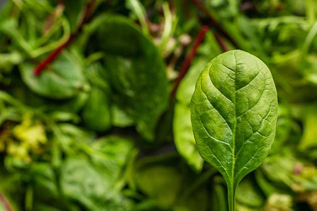 10 alkaline foods to boost your health