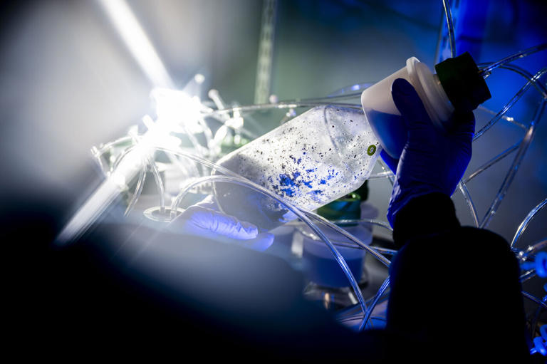 Biodegradable electronics can break down into harmful microplastics