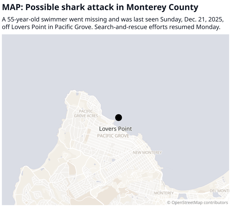 Swimmer missing after possible shark attack on California's Central Coast