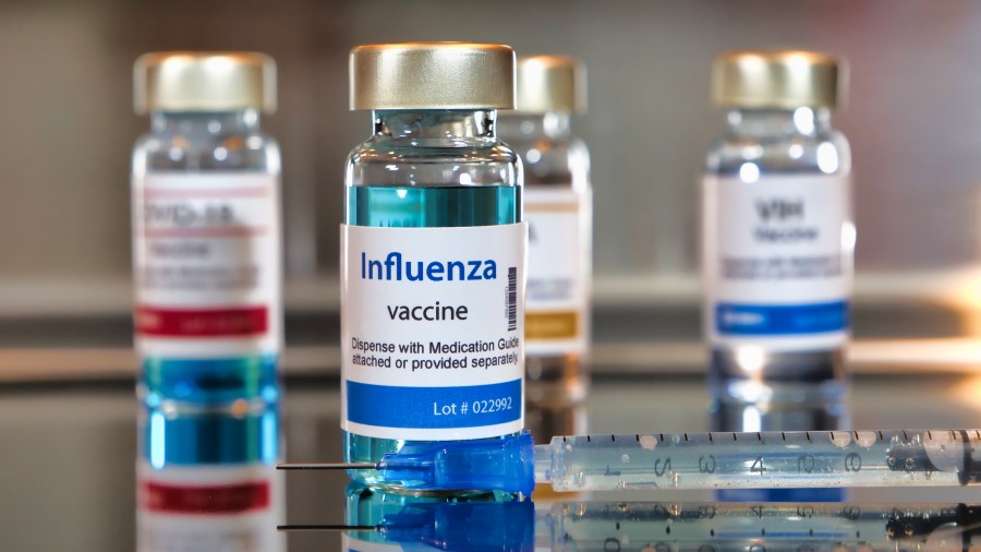 Health experts warn of rising flu cases ahead of holiday peak