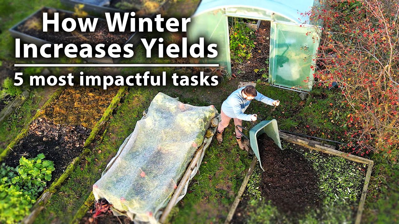 5 winter tasks to boost your garden next year!