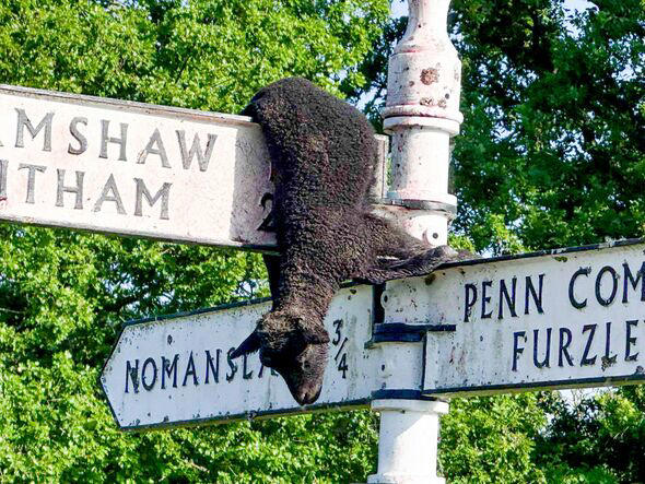 Church horror as rotting carcasses of missing animals dumped outside ...