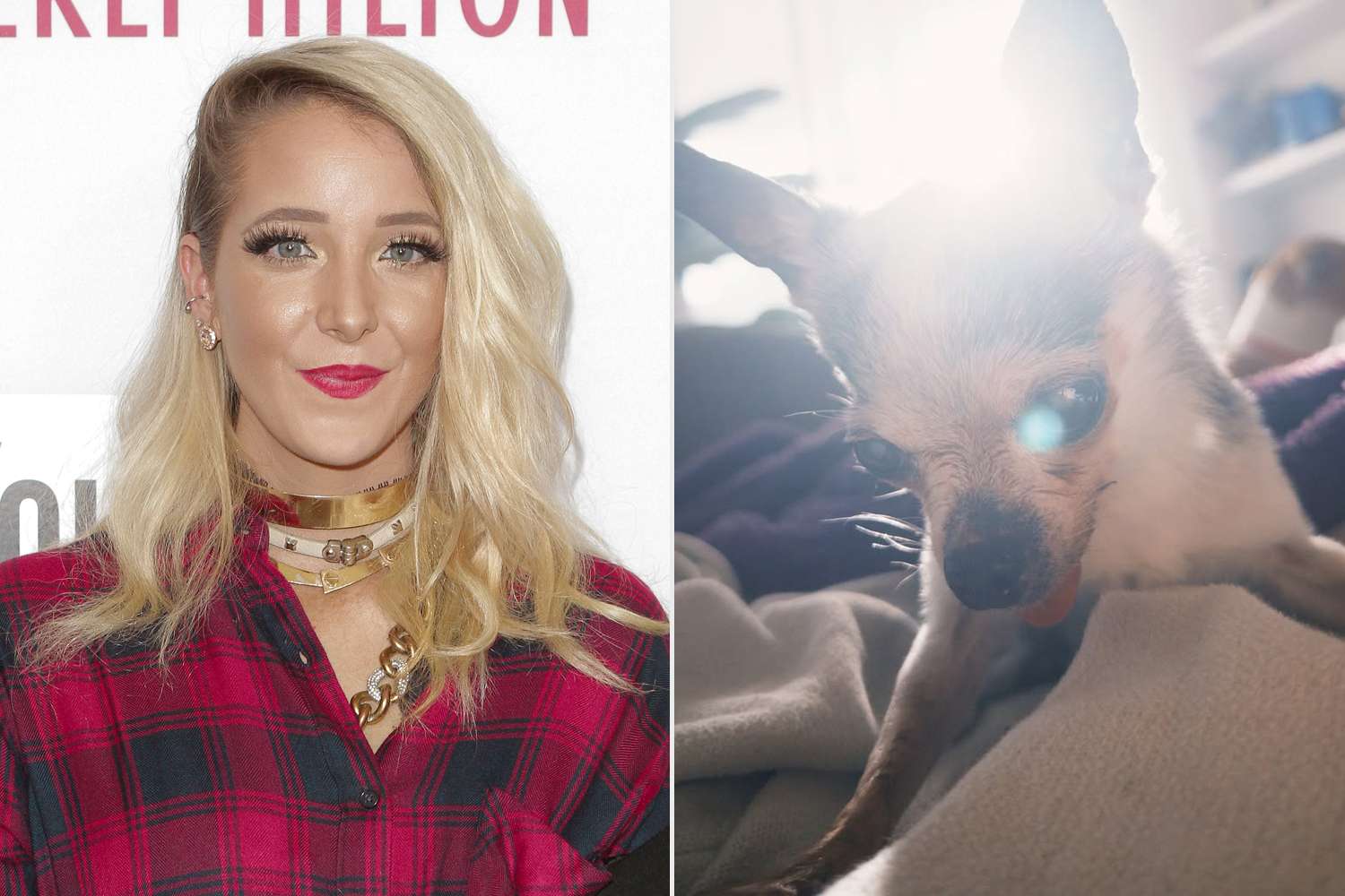 YouTuber Jenna Marbles’ beloved dog dies at 17: ‘Rest easy, Chip’