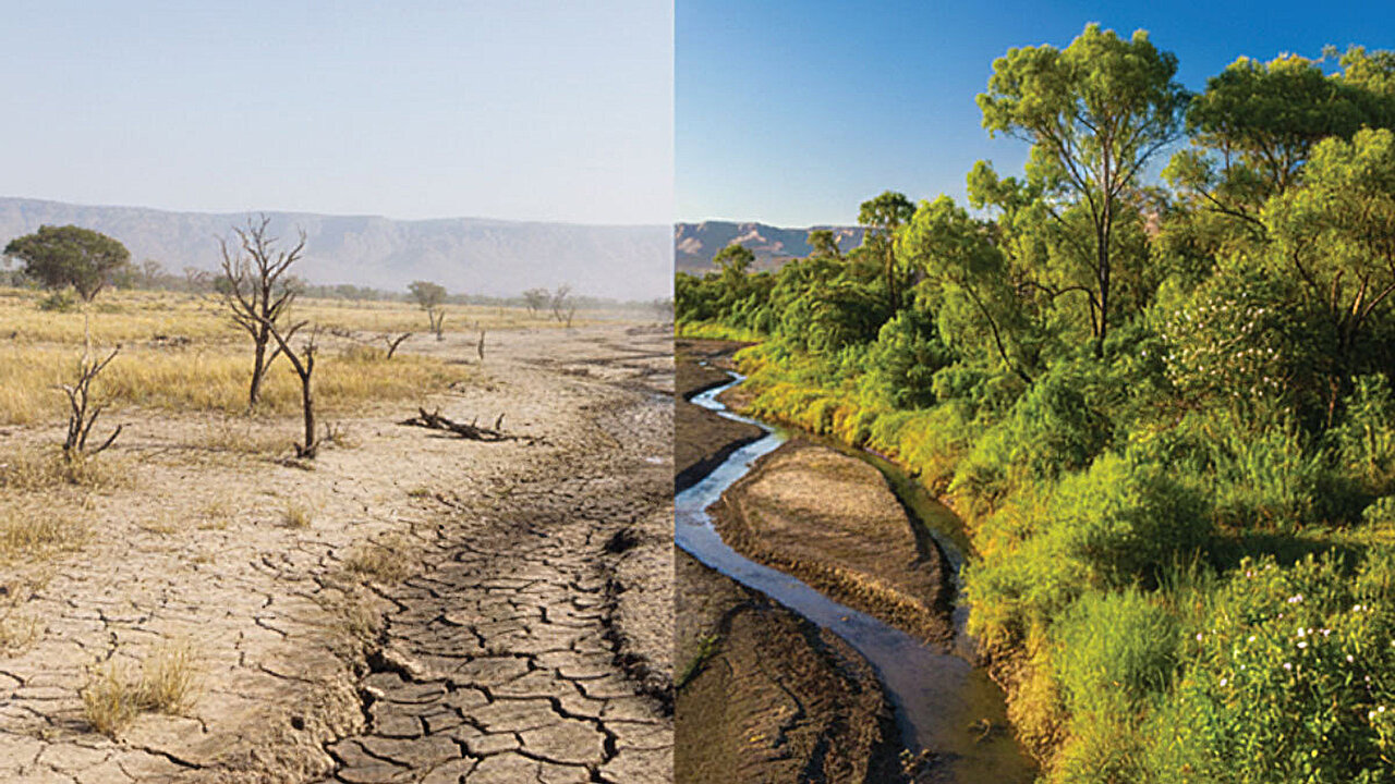 An ecosystem never forgets: Extreme heat and drought responses linked ...