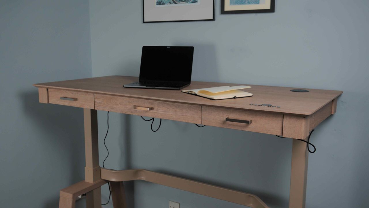 Eureka Ergonomic Ark EL executive standing desk