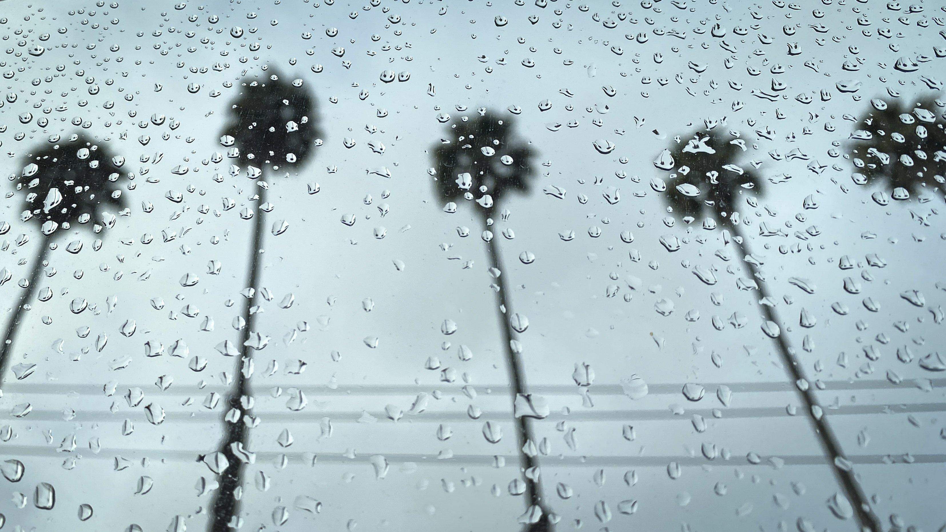 Batten down the hatches, SLO County: High wind expected through Christmas