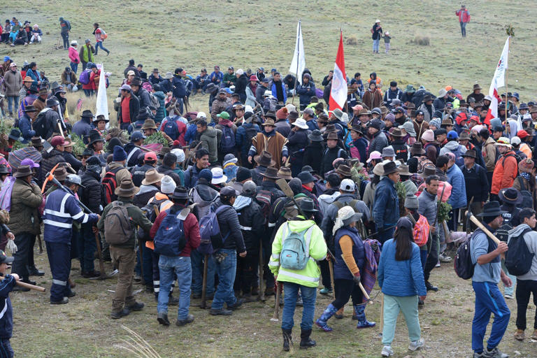 Project sees long-term success restoring forests in the high Andes: Study