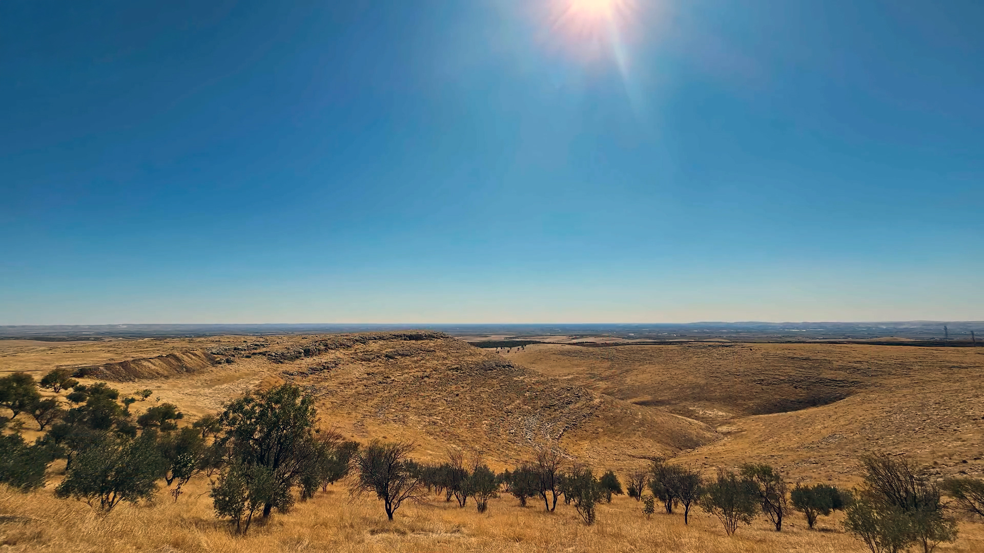 The Göbekli Tepe olive tree dispute explained