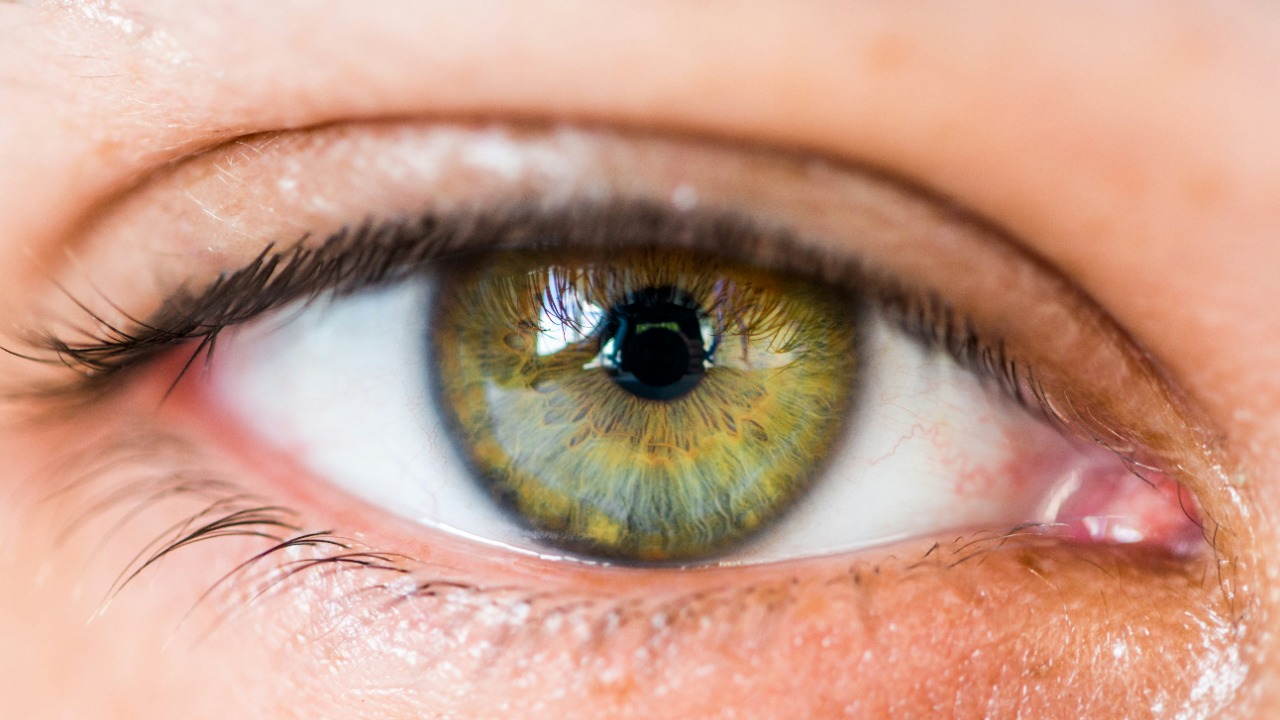 MIT study shows adults with lazy eye can regain vision