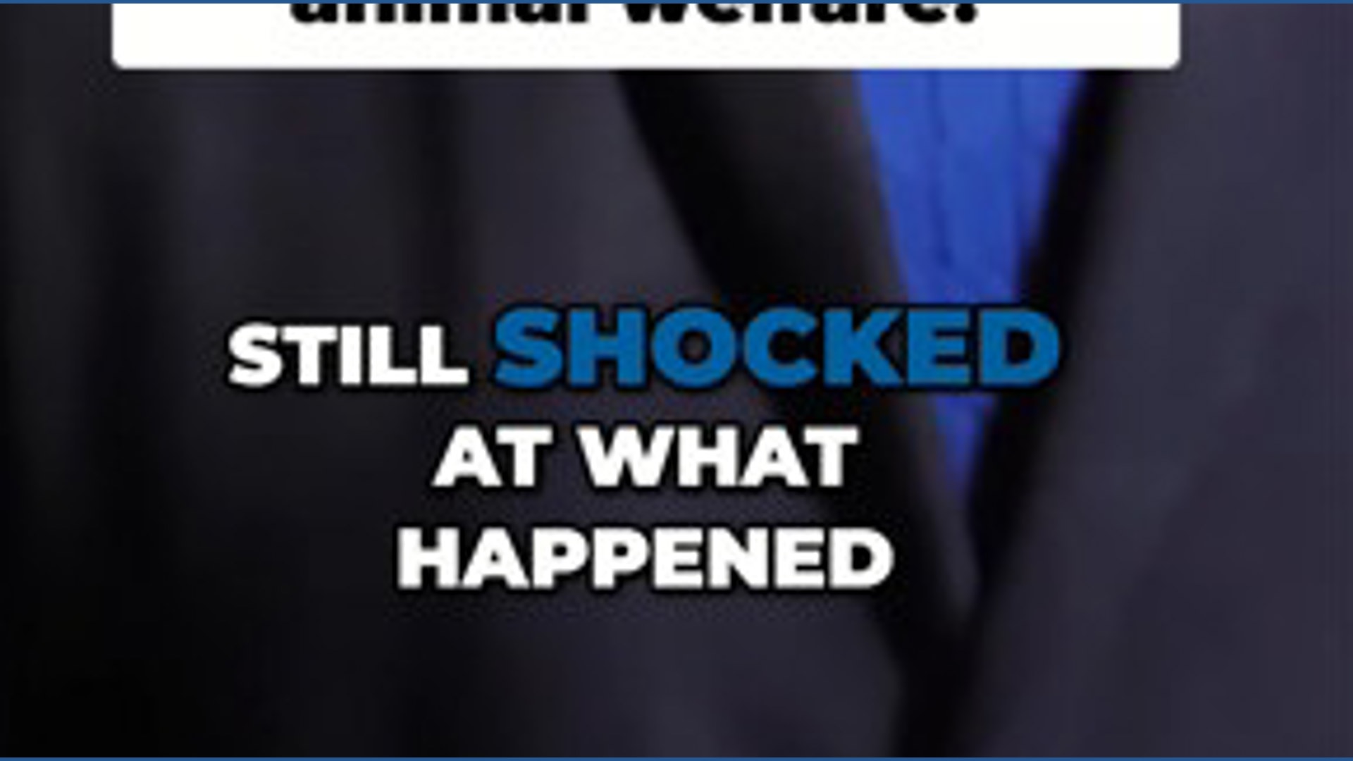 Greg Biffle, wife honored for legacy of helping animals in need