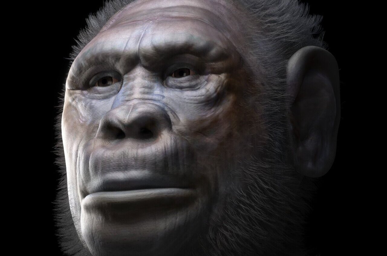 Two ancient human species came out of Africa together, not one ...