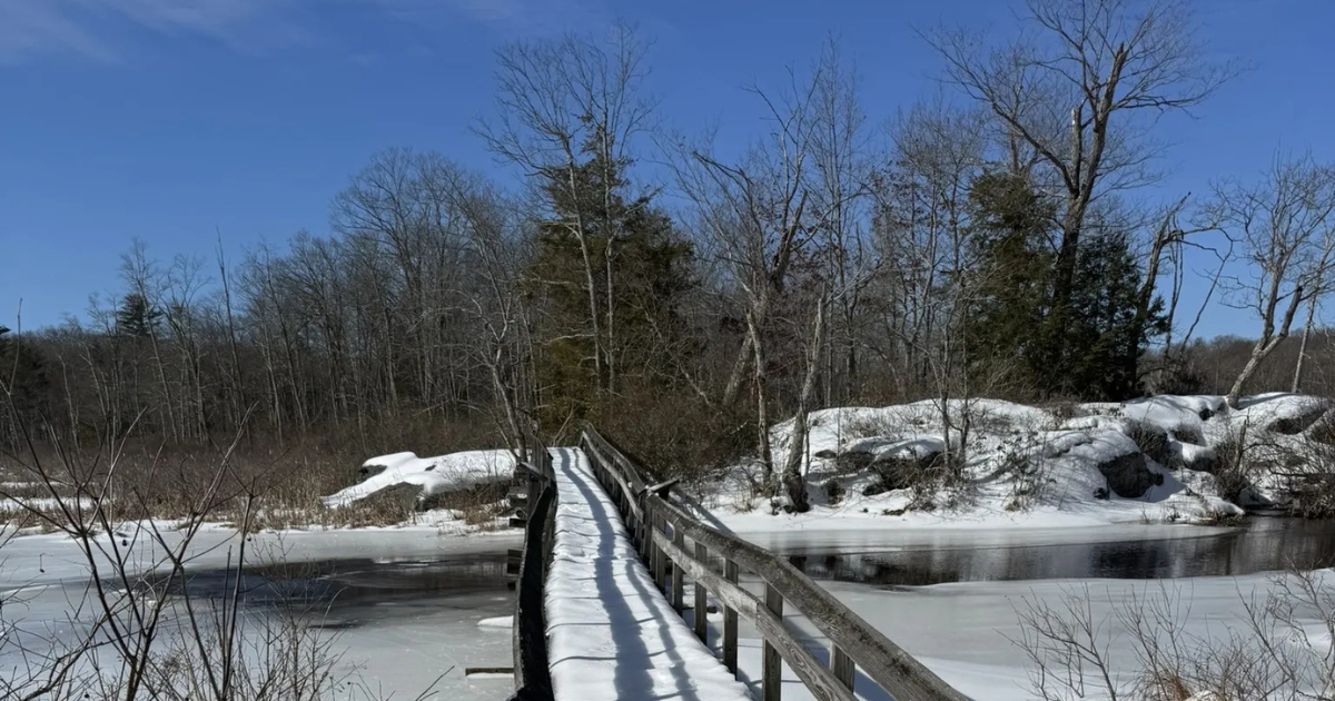 Why winter is this Connecticut nature reserve's secret season
