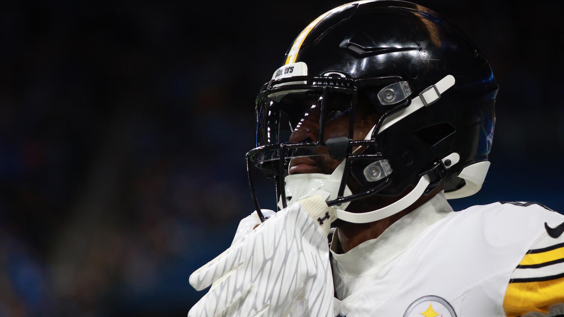 Steelers' DK Metcalf had prior history with Lions fan he had ...