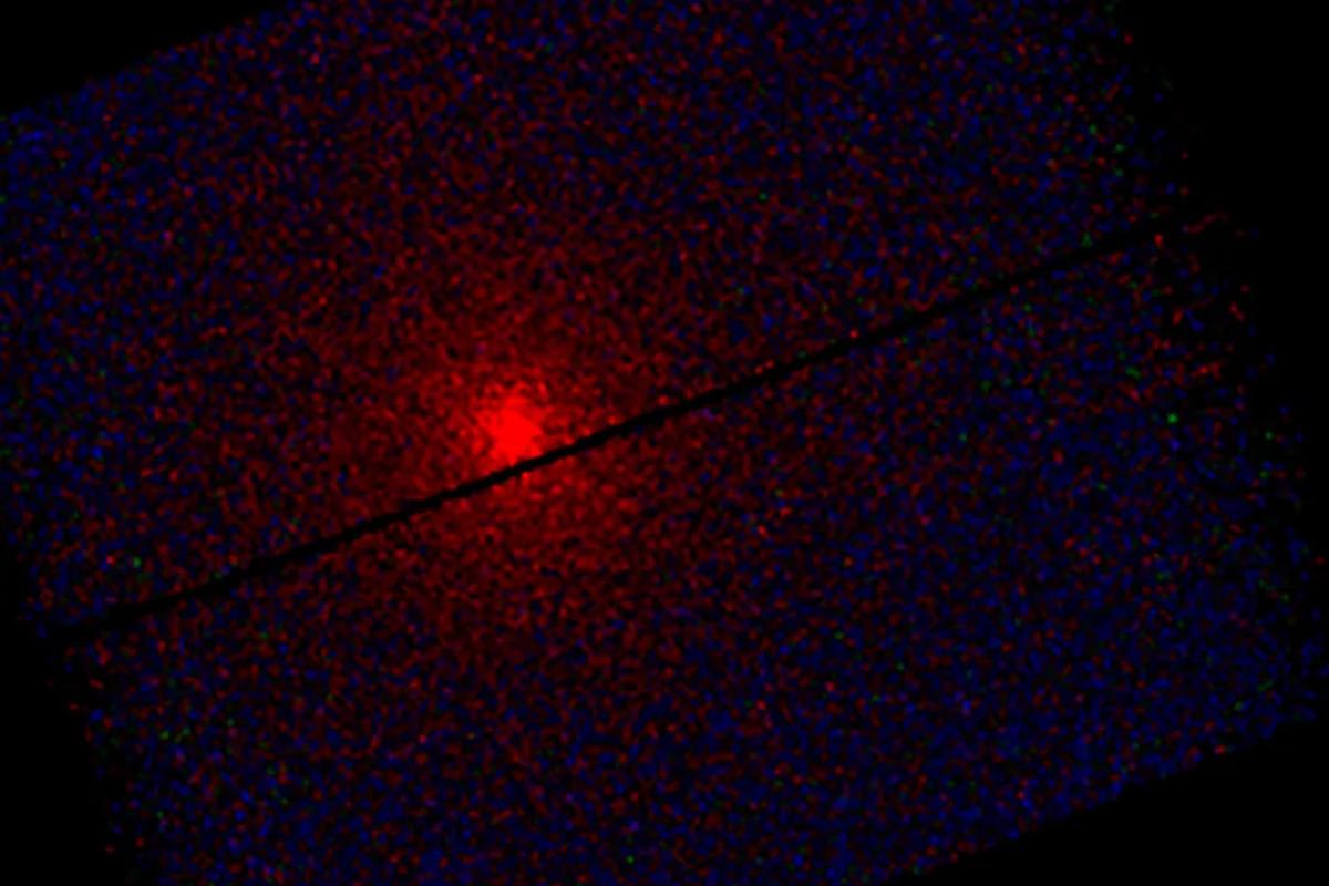 Avi Loeb keeps 3I/ATLAS at rank 4 — suspense builds as new data looms