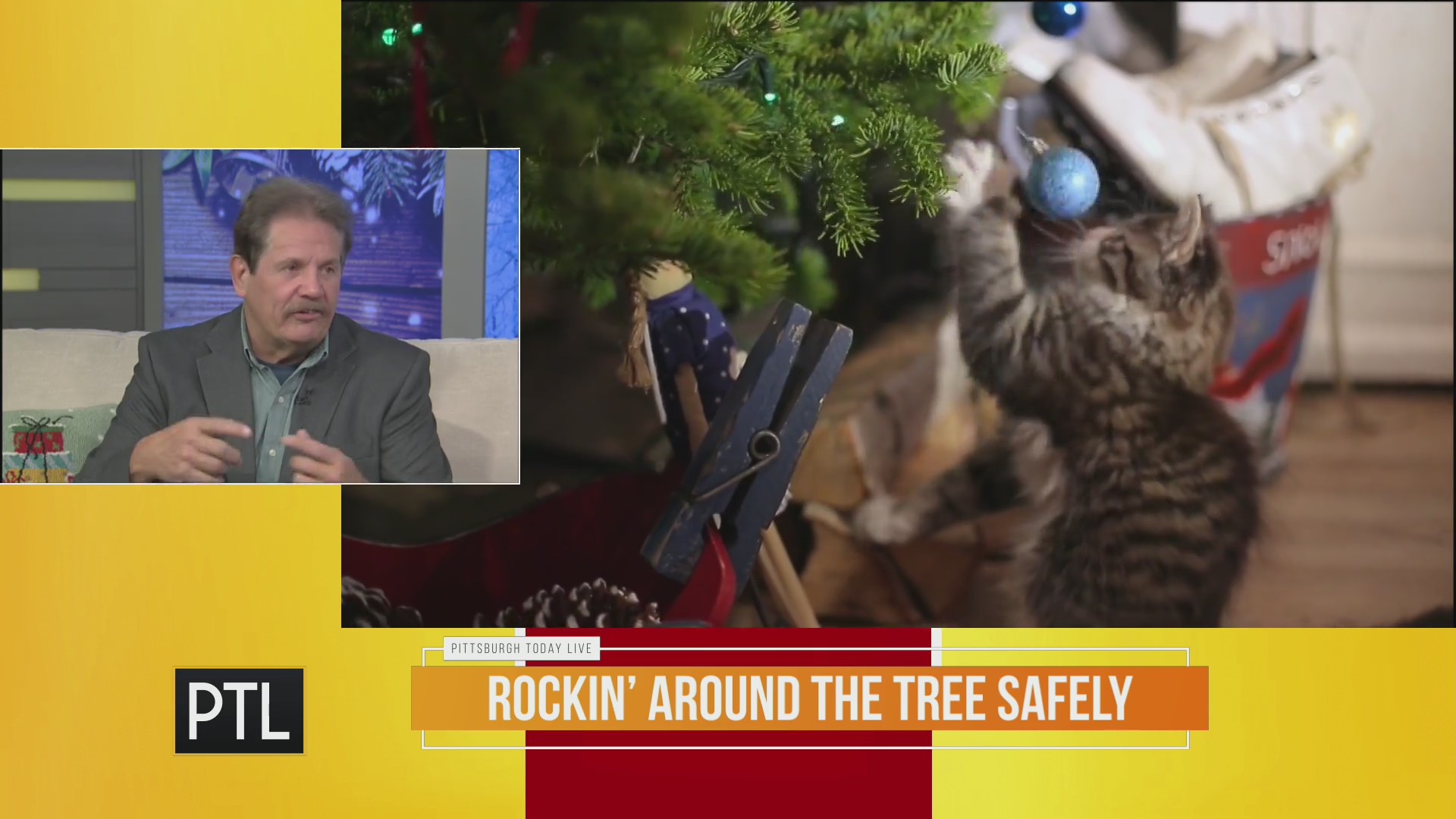 Pet hazards over the holidays