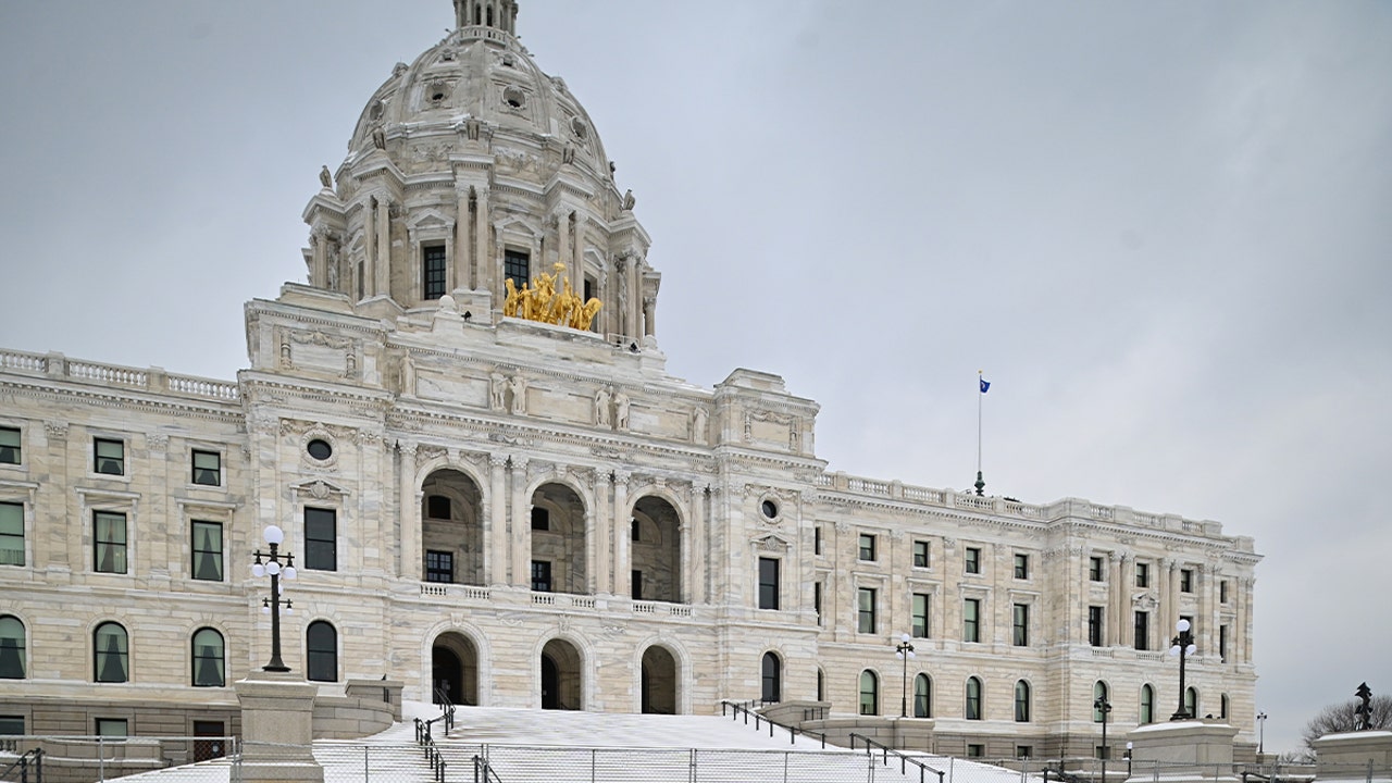 Minnesota mayors raise concerns over fraud, rising costs in letter to ...