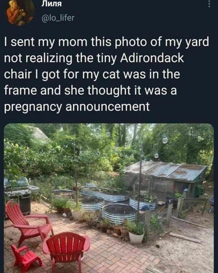 47 of the funniest and most relatable cat memes shared by this IG page