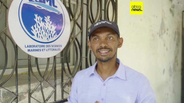 AFCON 2025: The coelacanth, Comoros' national symbol in football and beyond