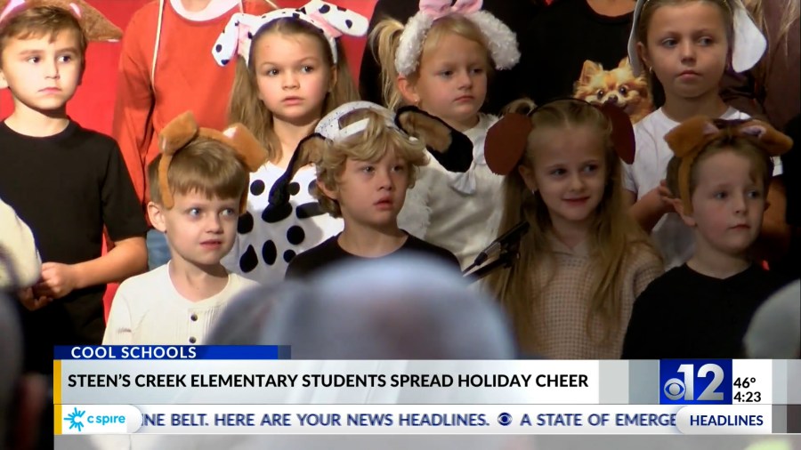 Steen’s Creek Elementary Christmas program captures the joy of the ...