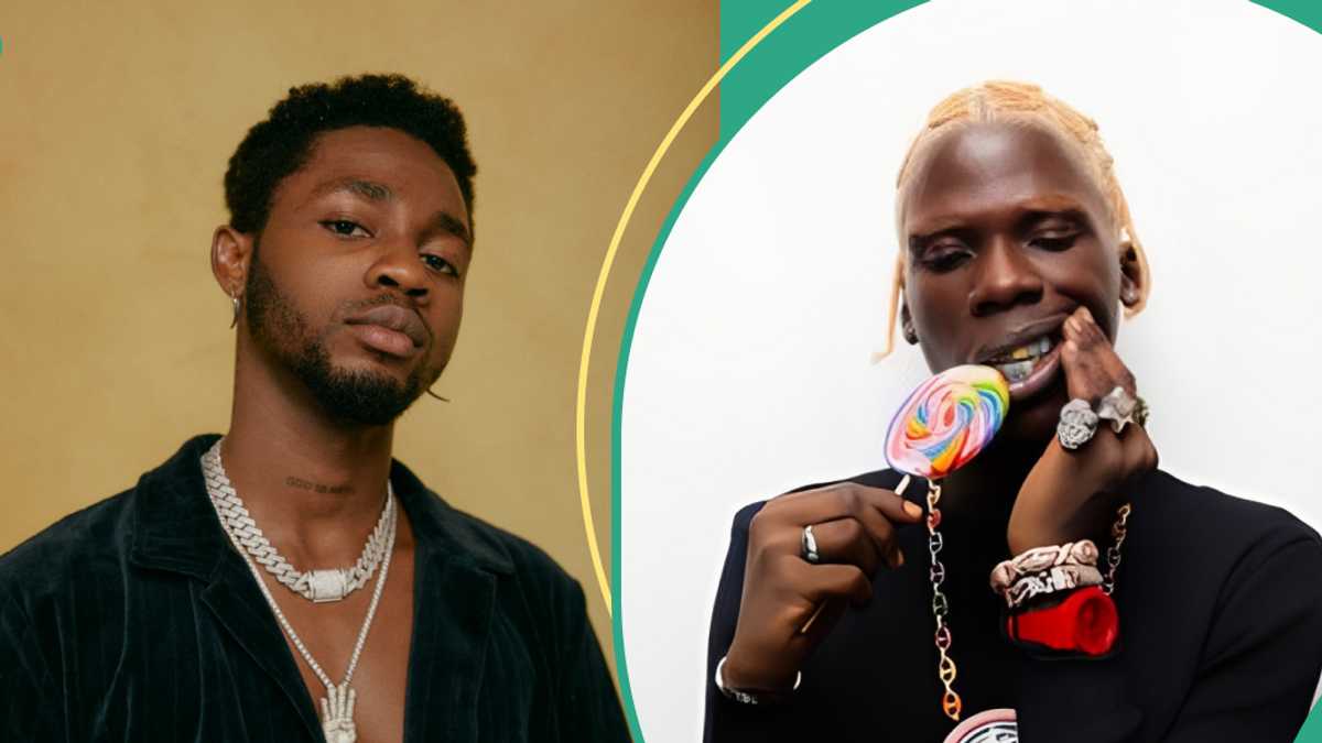 Omah Lay, Seyi Vibez thrill fans as Motherland Festival makes debut in ...