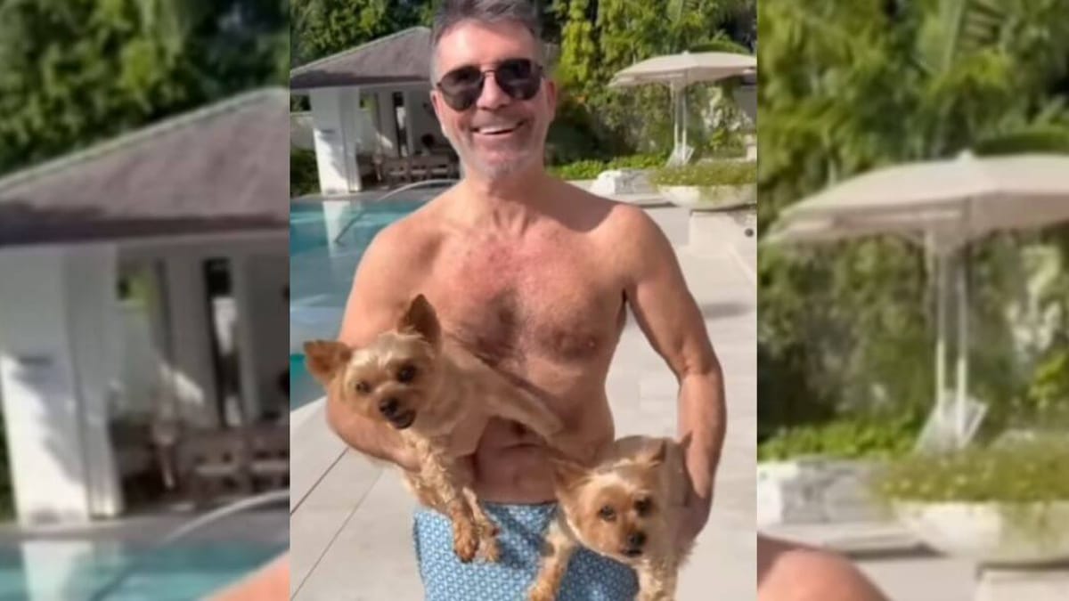 Simon Cowell shares festive moment with dogs Squiddly and Diddly