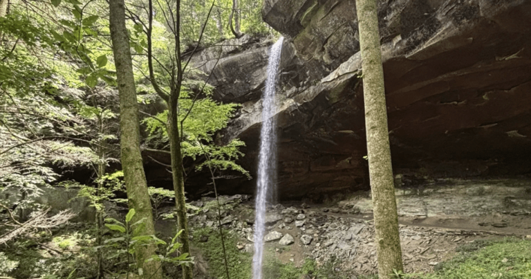 Enjoy bucket-list-level views on these easy Kentucky hikes