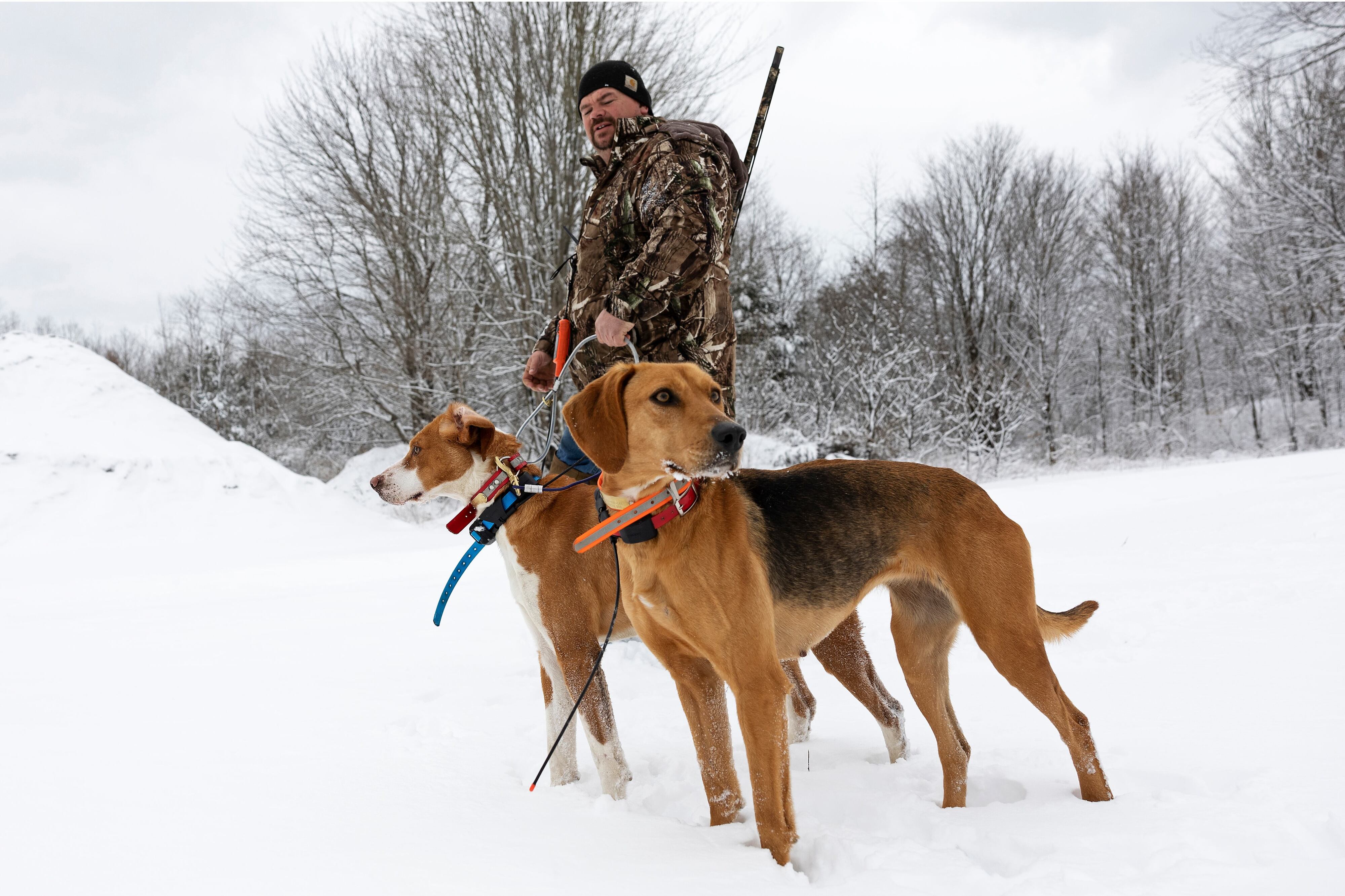 Holiday hunt opens this week across much of upstate NY