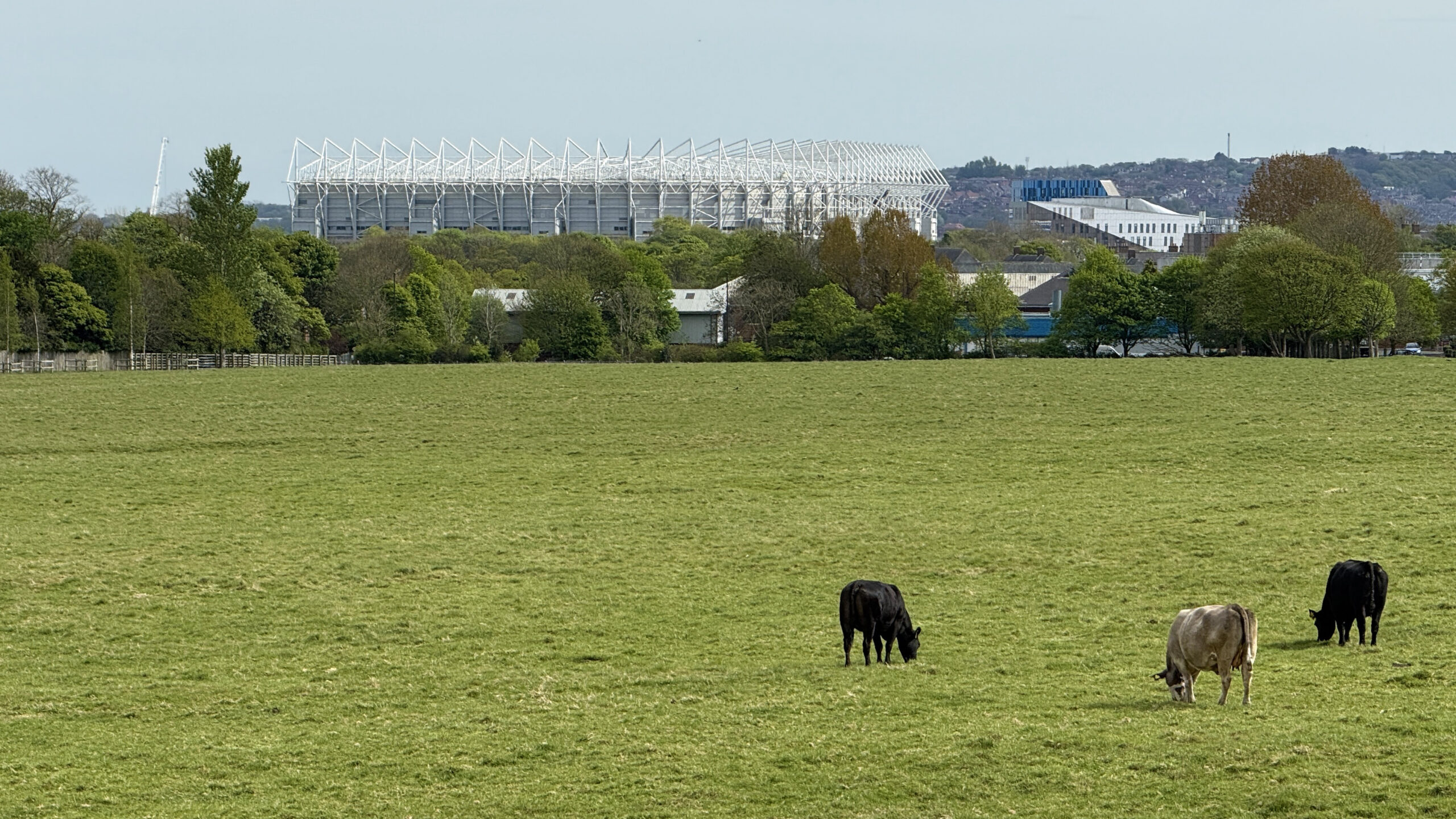 Newcastle United official announcement of commercial partnership ...