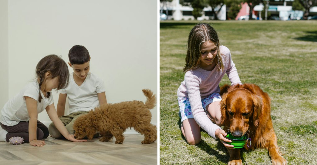 11 dog breeds that love kids the most, according to experts