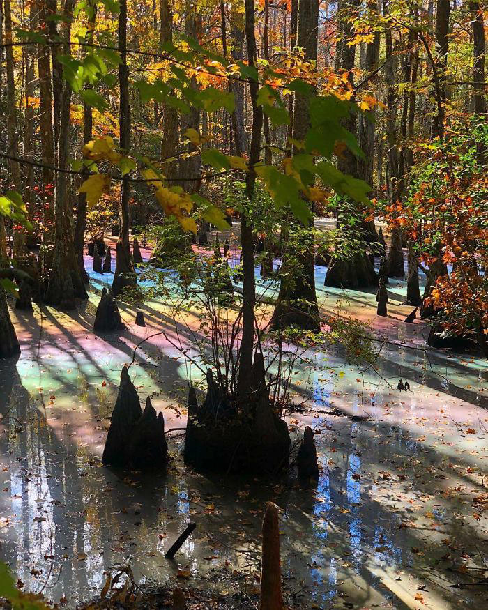 45 photos which are hard to believe aren’t photoshopped