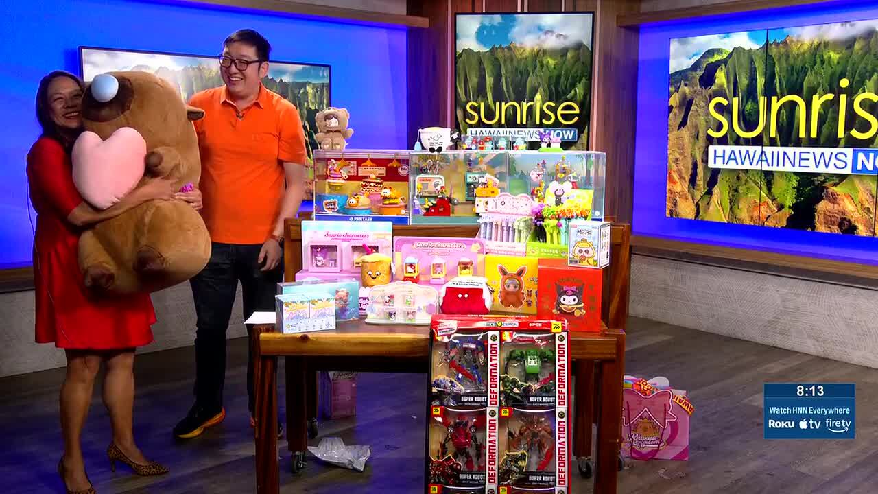 Kawaii Kingdom brings viral and cute pop culture products to Oahu