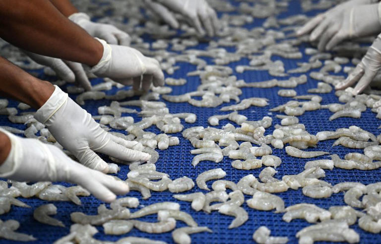FDA recalls over 83,000 bags of frozen shrimp over radioactive concerns