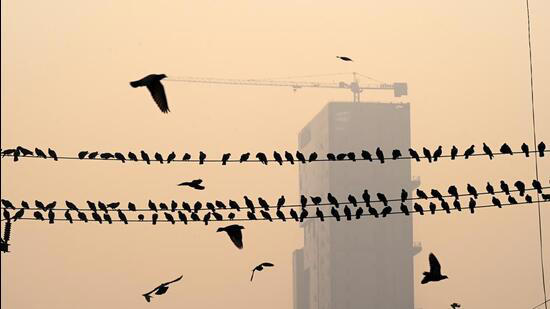 AQI: E-rickshaw curbs among new quick fixes